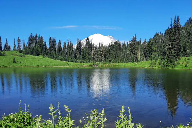 Mount Rainier National Park