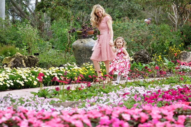 Mounts Botanical Garden