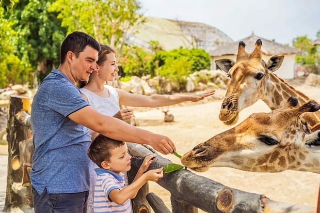 Naples Zoo at Caribbean Gardens