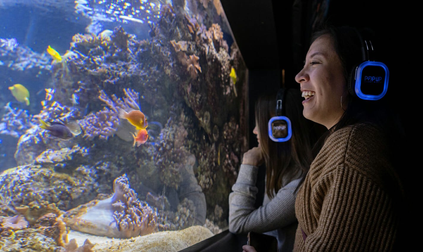 national aquarium in baltimore travel photo