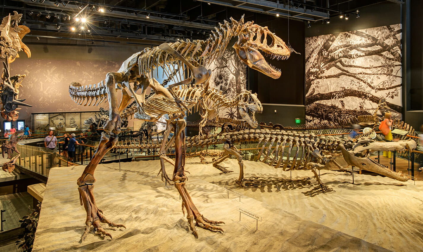 natural history museum of utah travel photo