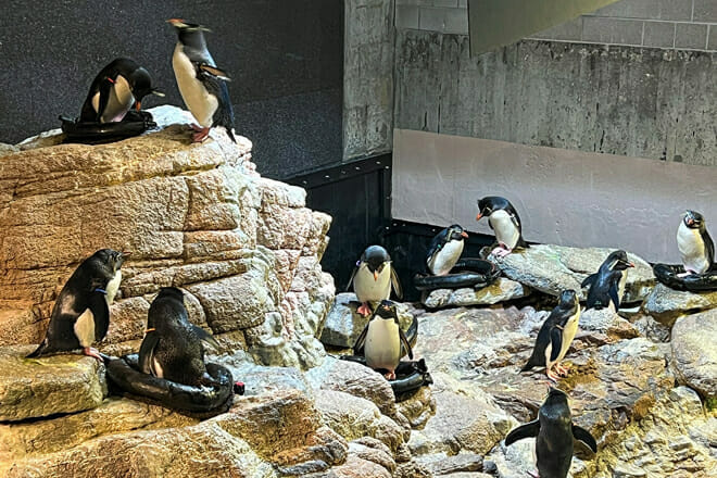 New England Aquarium