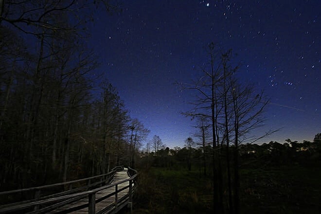 Night Sky Stargazing Tour in Punta Gorda Florida