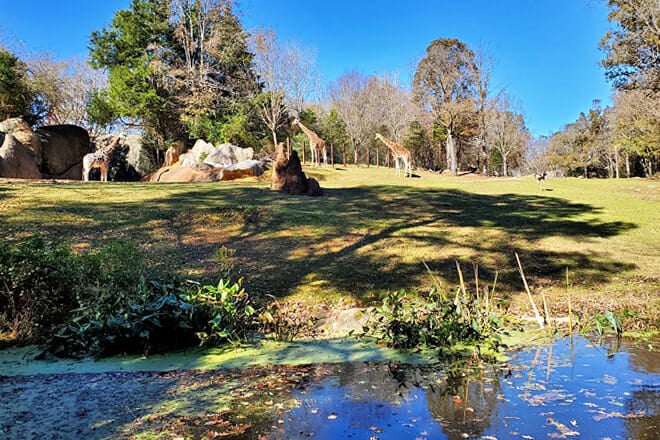 North Carolina Zoo