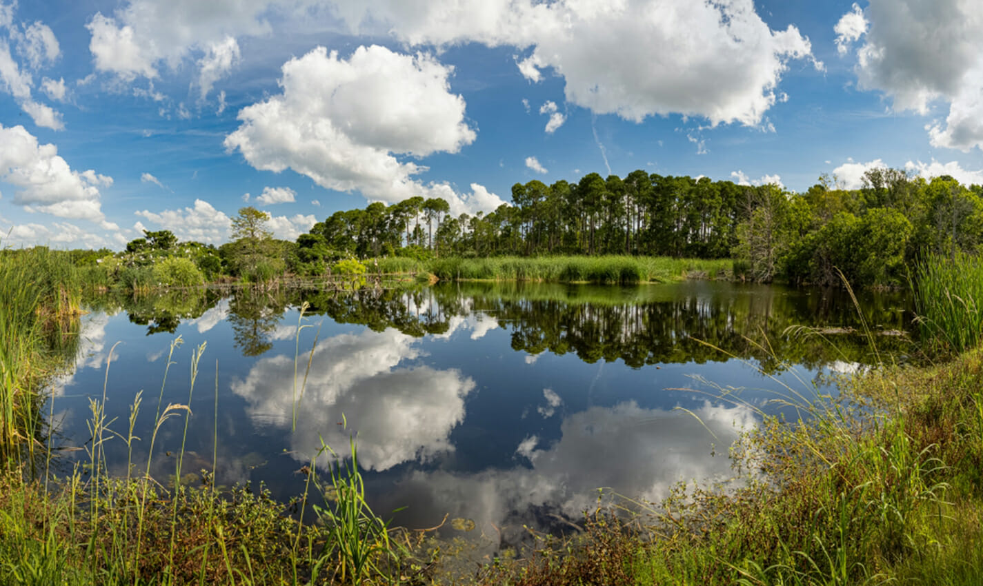 pinckney island national wildlife refuge travel photo