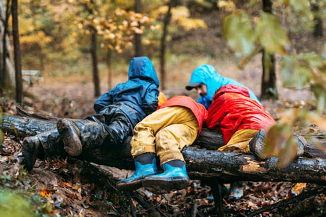 Reflection Riding Arboretum