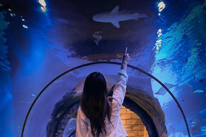 SEA LIFE Aquarium New Jersey