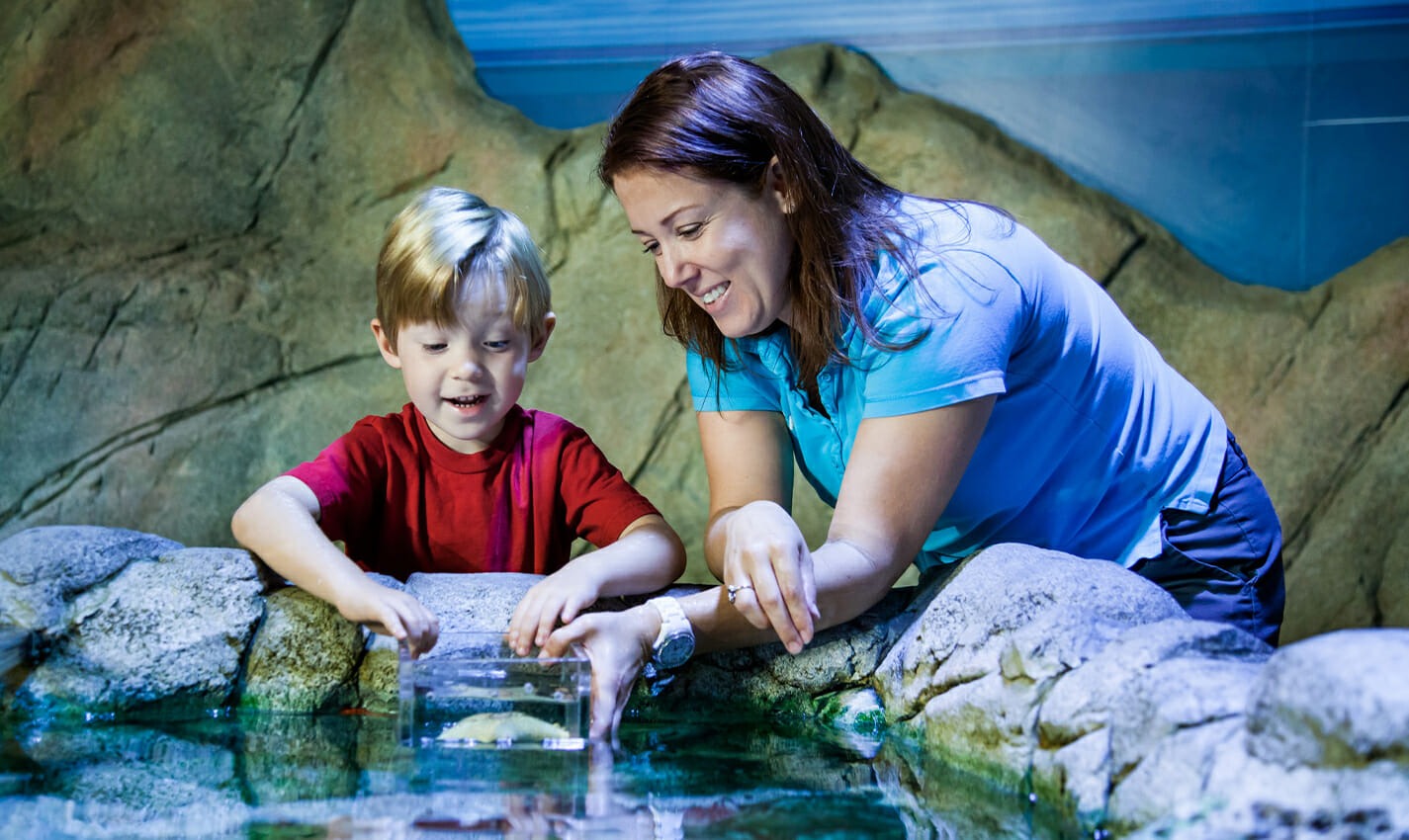 sea life kansas city aquarium travel photo