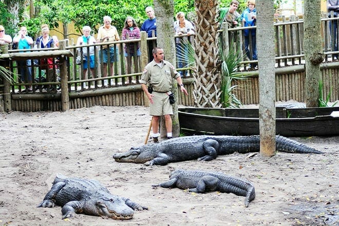 St. Augustine Alligator Farm