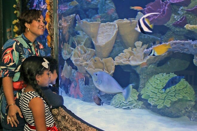 The Maritime Aquarium