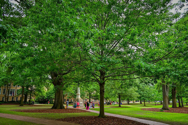 University of South Carolina