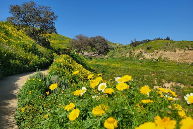 Ventura Botanical Gardens