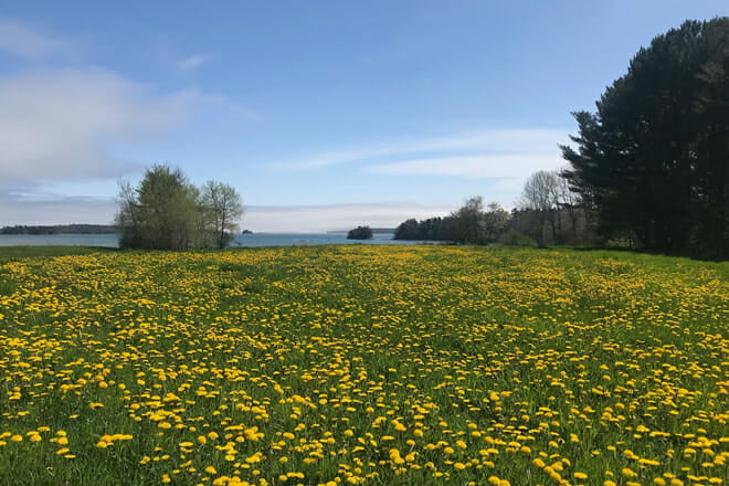 Wolfe&rsquo;s Neck Center