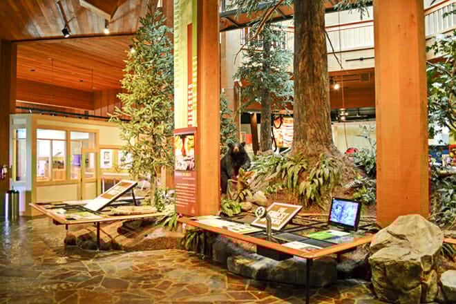 World Forestry Center