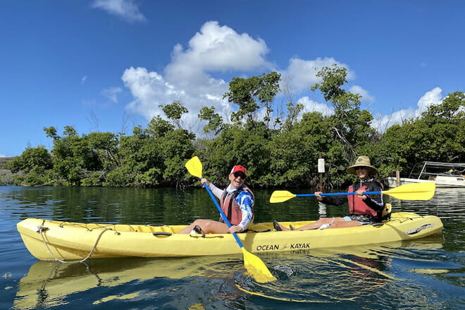 St. Thomas Mangrove Kayak, Hike, & Snorkel Tour