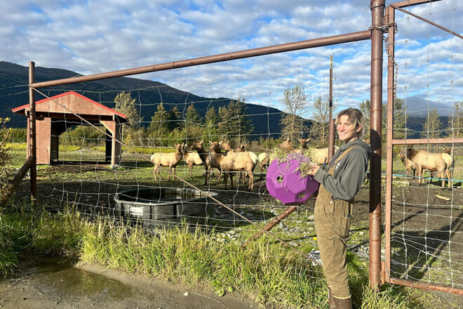 Alaska Wildlife Conservation Center