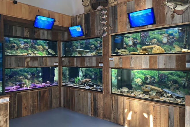 Appalachian Rivers Aquarium