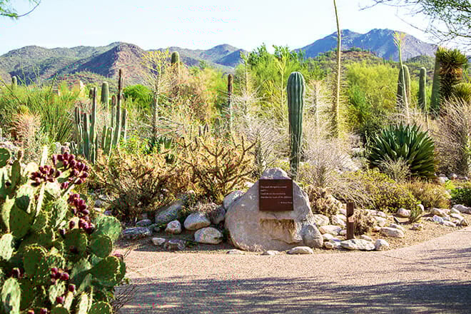 Arizona-Sonora Desert Museum