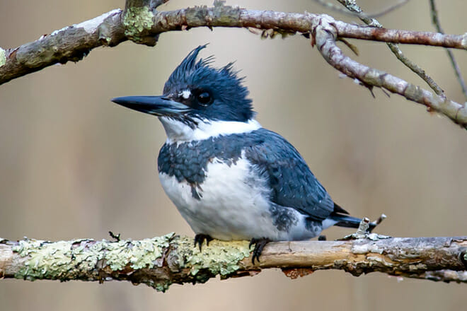 Audubon Society of Rhode Island Headquarters Office