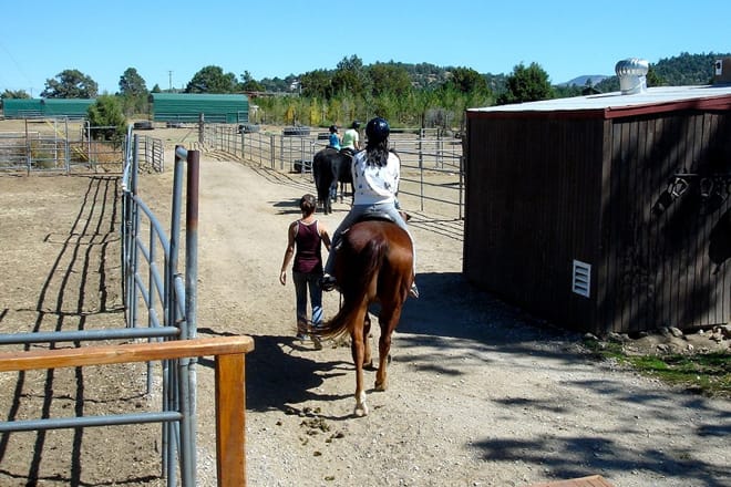 Baldwin Lake Stables