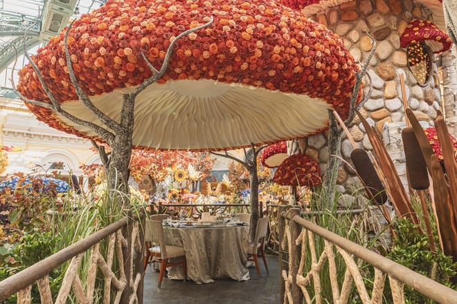 Bellagio Conservatory & Botanical Gardens