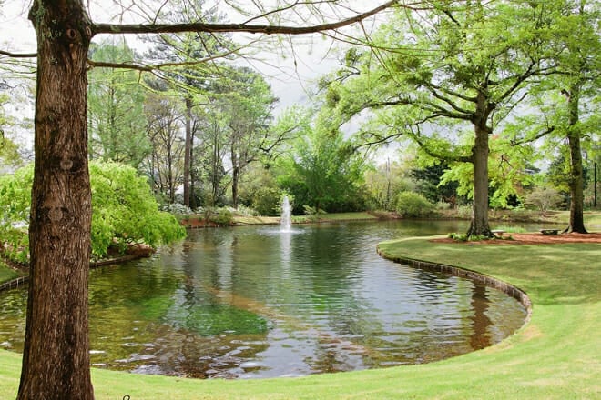 Birmingham Botanical Gardens