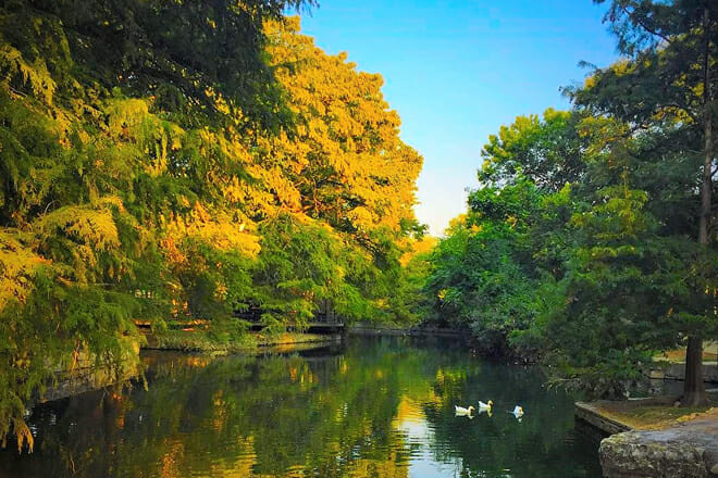 Brackenridge Park