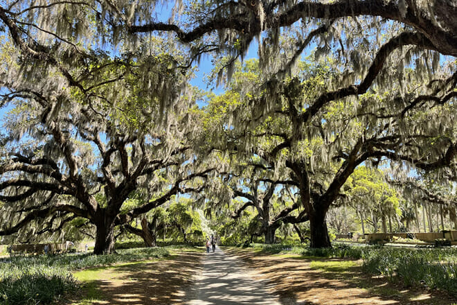 Brookgreen Gardens