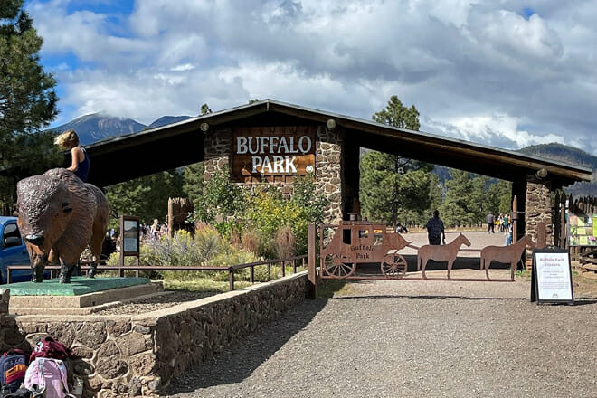 Buffalo Park