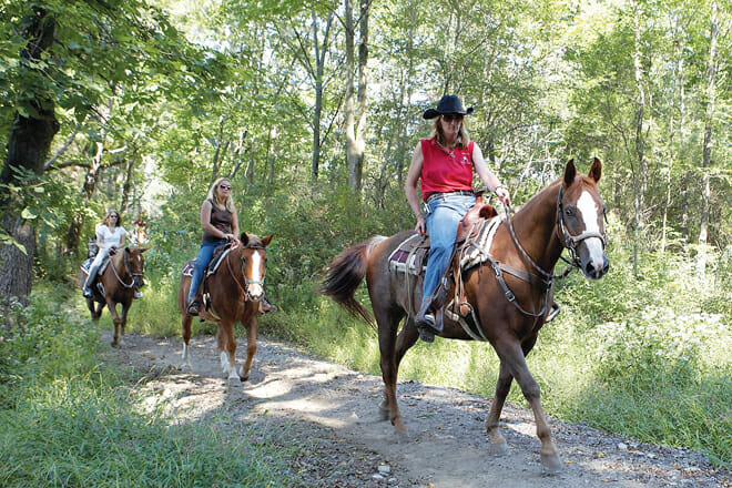 Bushkill Riding Stables