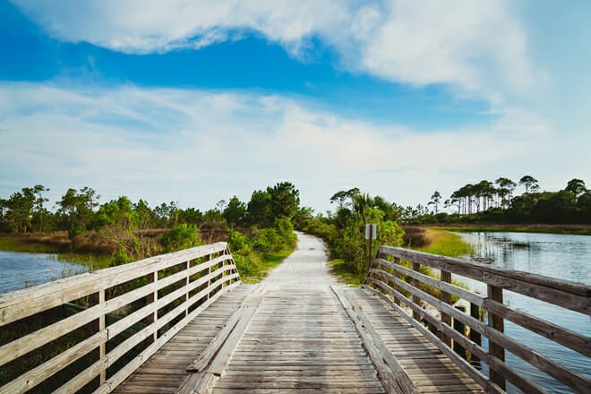 Camp Helen State Park