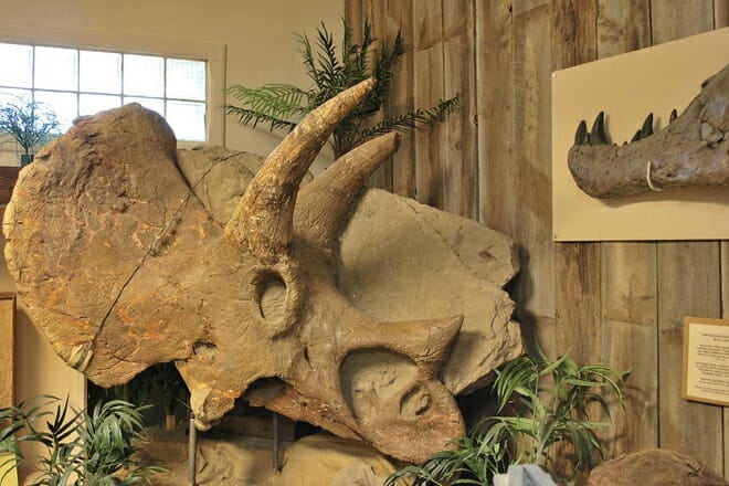 Carter County Museum