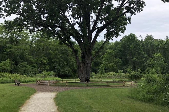  Cascade Valley Metro Park-Chuckery Area