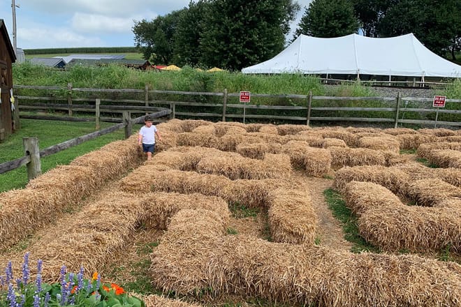 Cherry Crest Adventure Farm