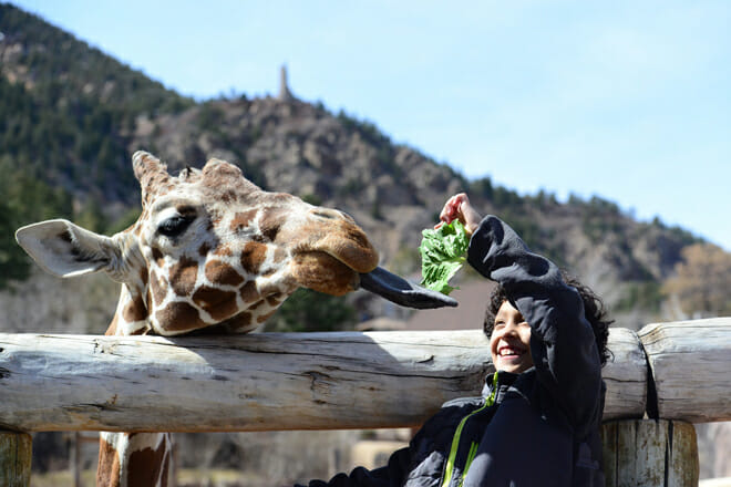 Cheyenne Mountain Zoo