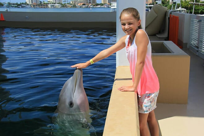 Clearwater Marine Aquarium