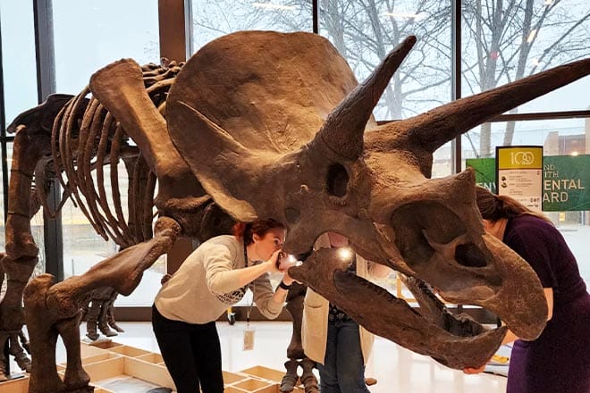 Cleveland Museum Of Natural History