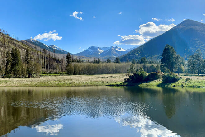 Coconino National Forest
