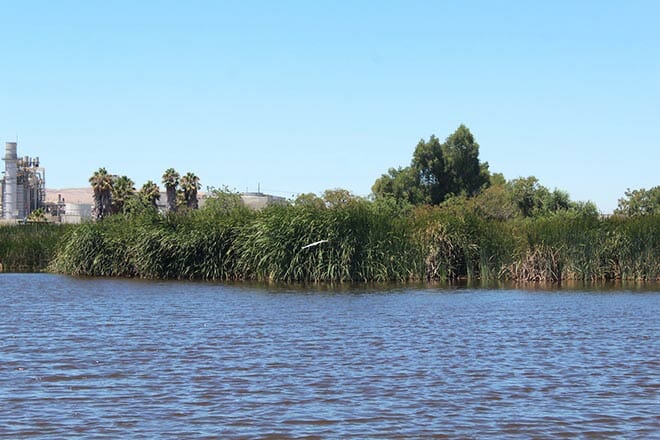 corteva wetlands preserve