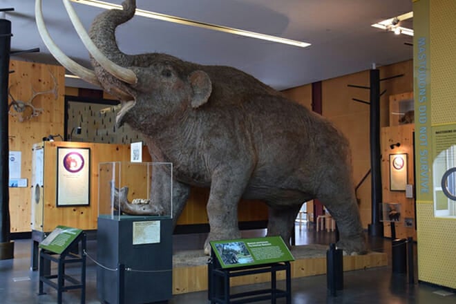 Cranbrook Institute of Science