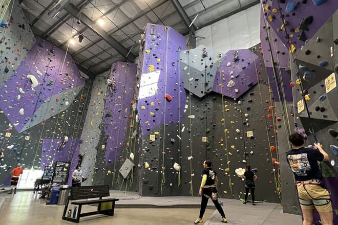 DYNO Detroit Climbing