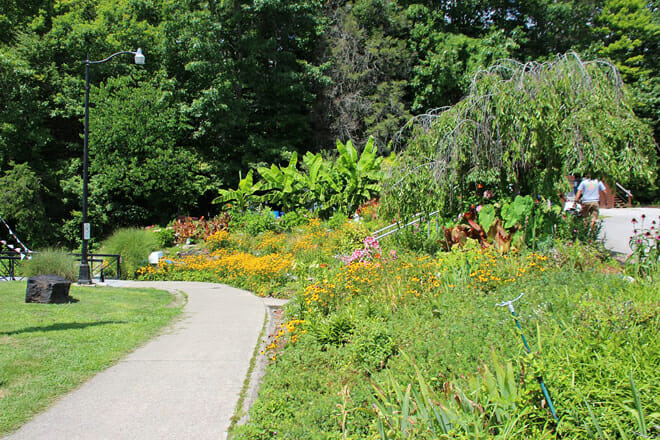 Daniel Boone National Forest