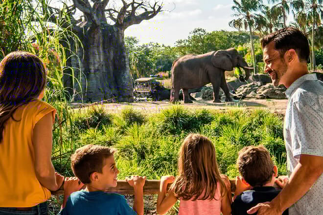 Disney's Animal Kingdom