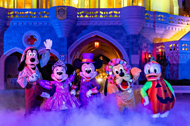 Disney's Magic Kingdom