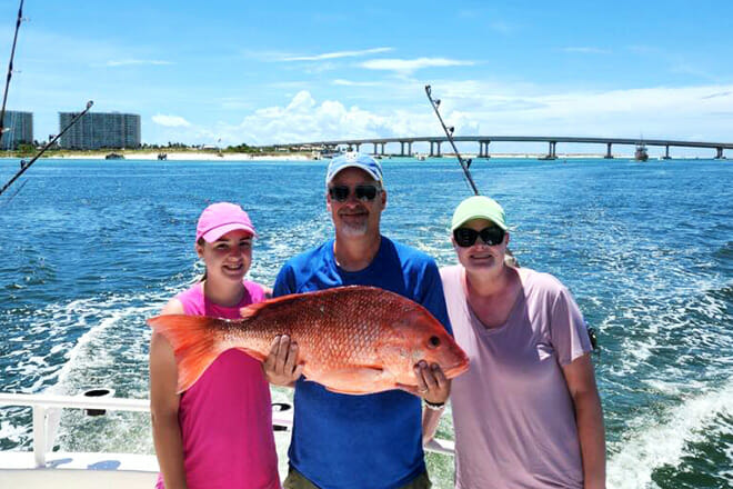 Distraction Charters