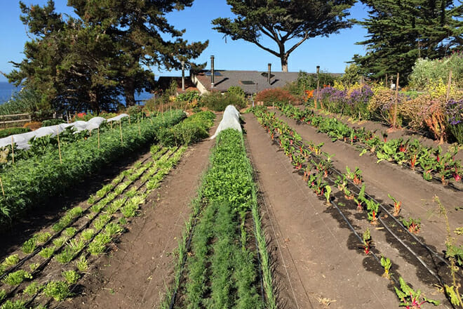 Esalen