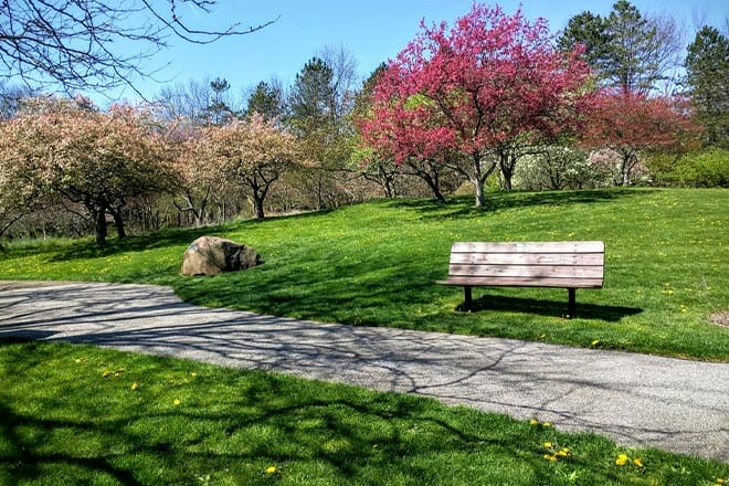 F.A. Seiberling Nature Realm