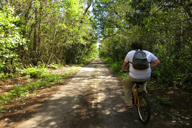 Fakahatchee Strand Preserve State Park