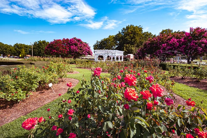 Fayetteville Rose Garden