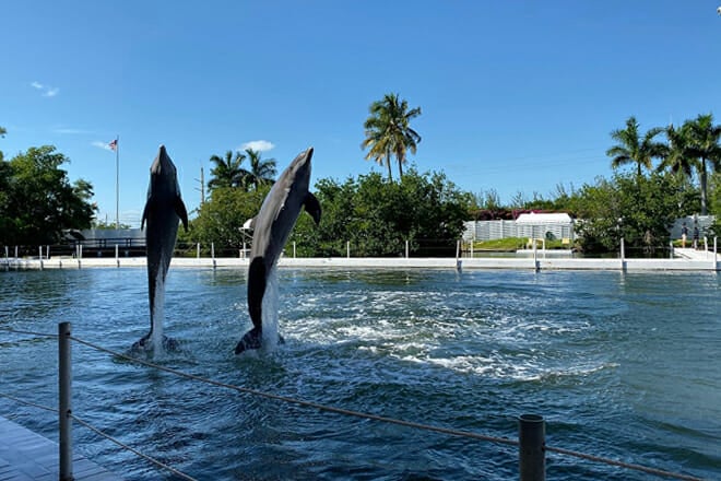 Florida Keys Aquarium Encounters